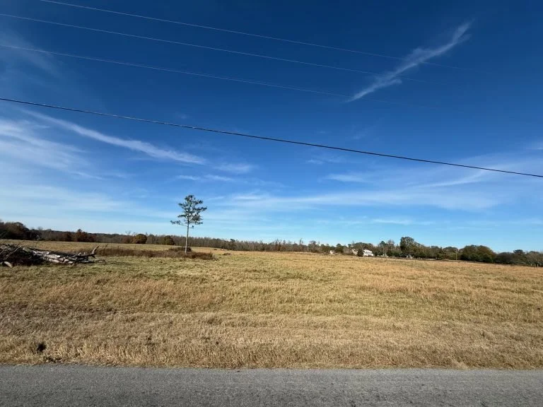 Auctions — Debbie Mathis Realty & Auction