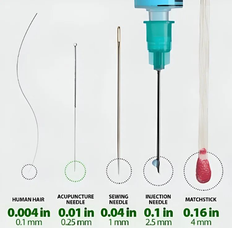 How Big Are Acupuncture Needles? Sizes, Uses, and Safety Explained ...