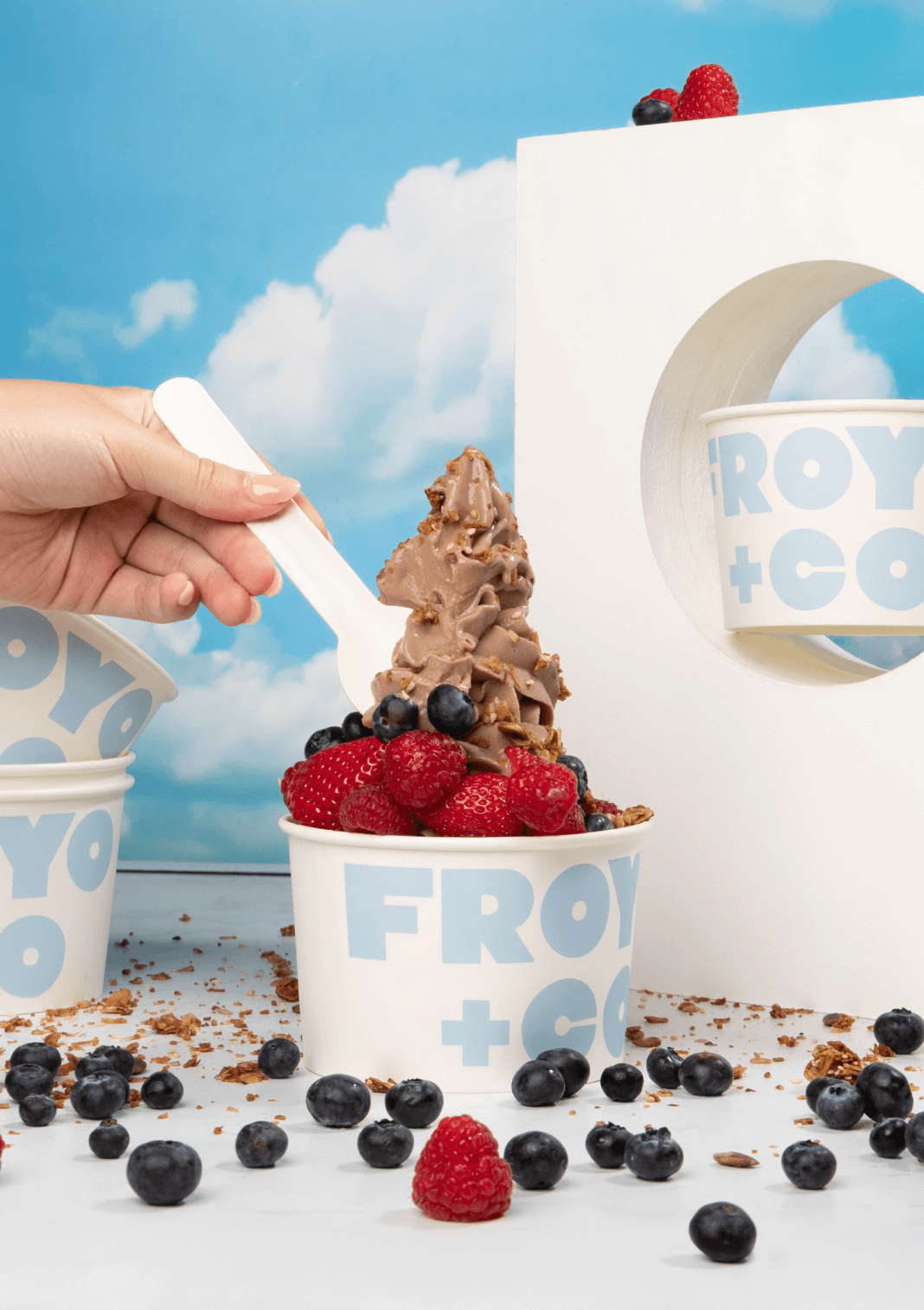 The Froyo Experience — froyo+co