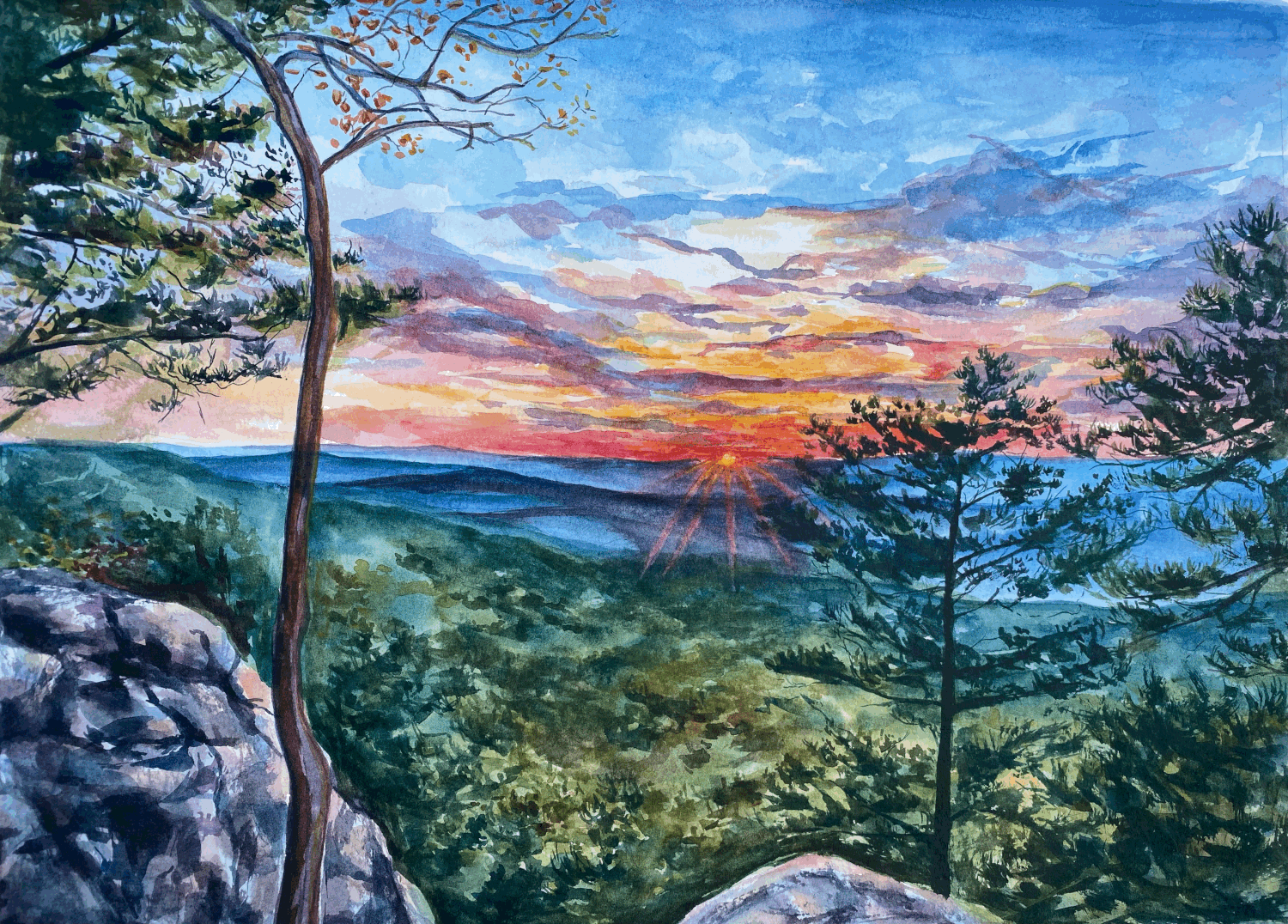 Shop — Eva Kay Mckinley Fine Art