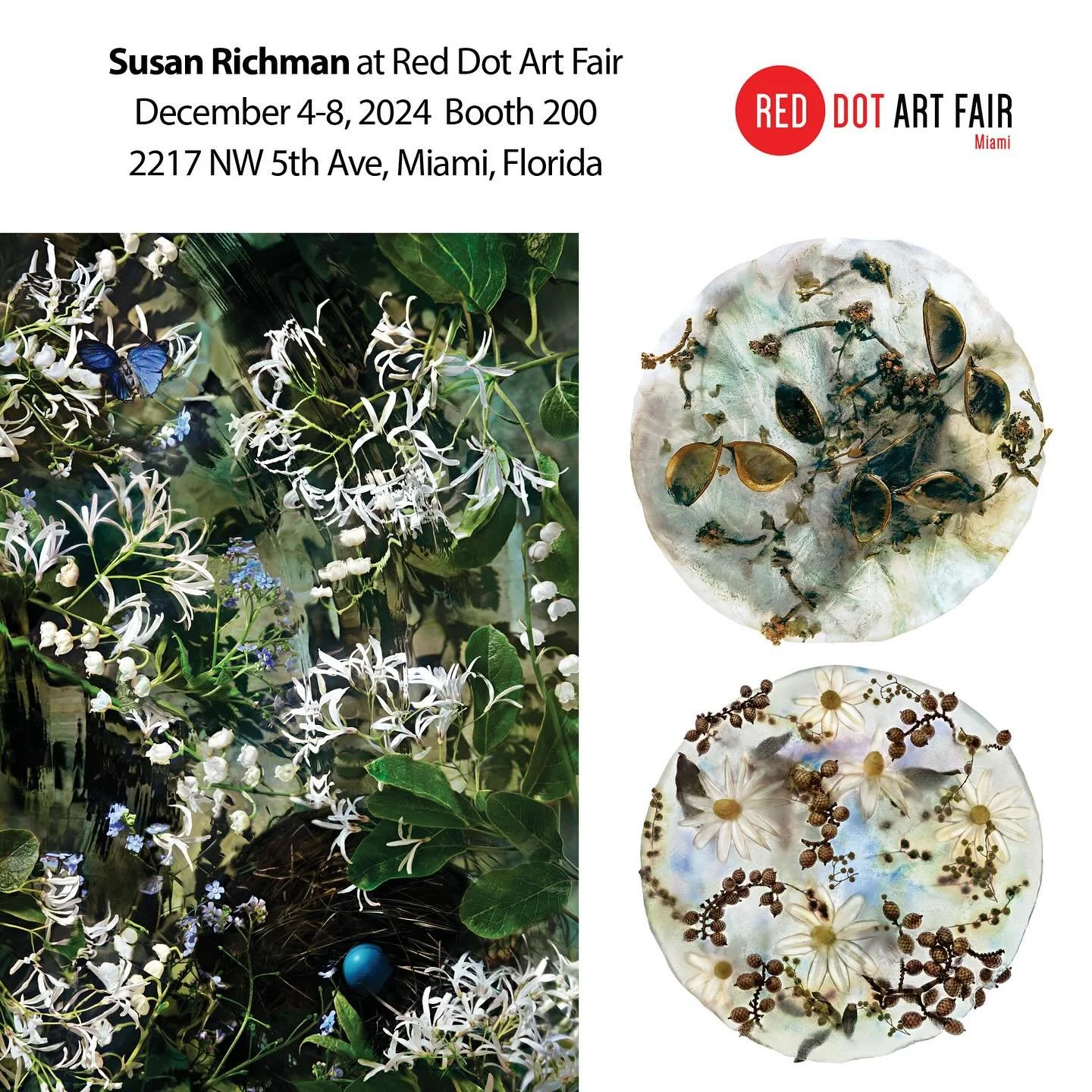 Susan Richman Photography