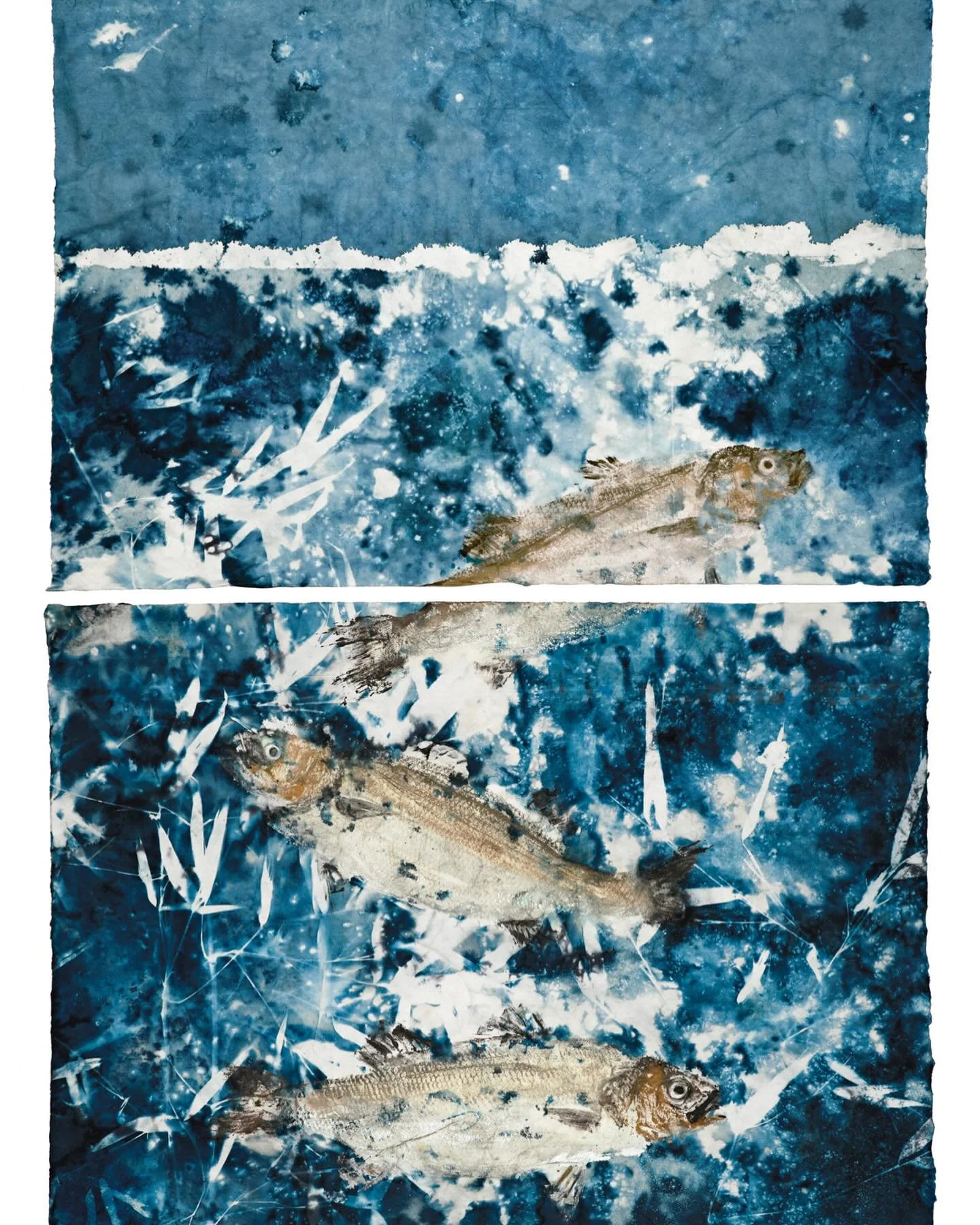 Susan Richman Photography