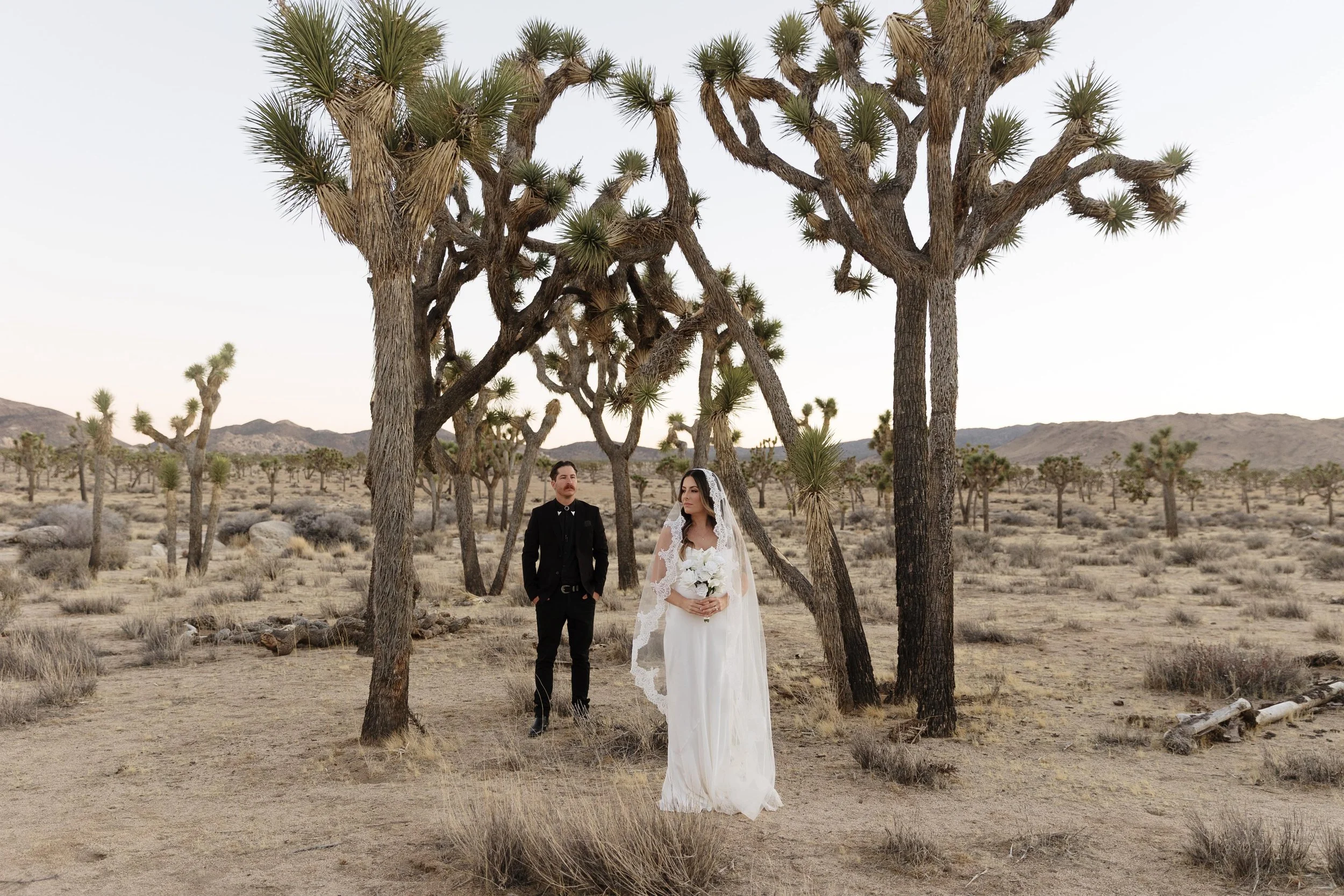 Eloping In Joshua Tree, California — Amber Rose O'Dwyer
