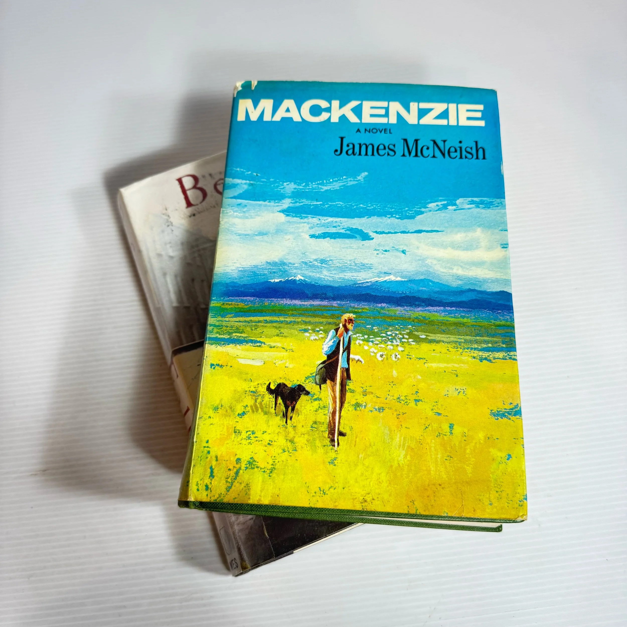 Vintage Historical Hardback Book Bundle x 2 : Mackenzie - James McNeish, Before the Fall ...