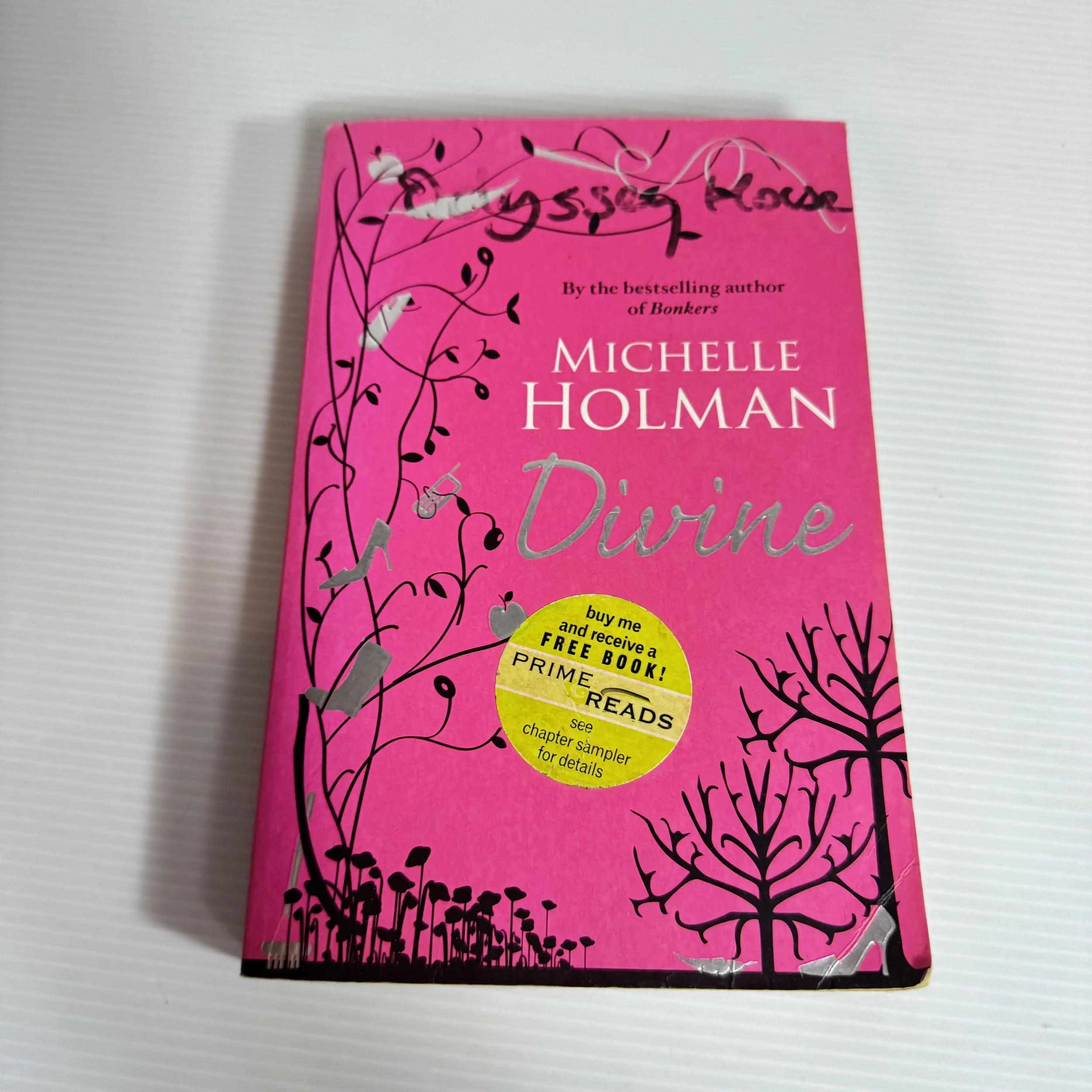 Divine - Michelle Holman — Second Chance Books NZ