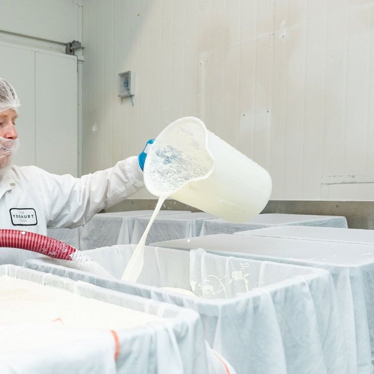 Our Story | Discover Our Craft Today — The Yoghurt Shop