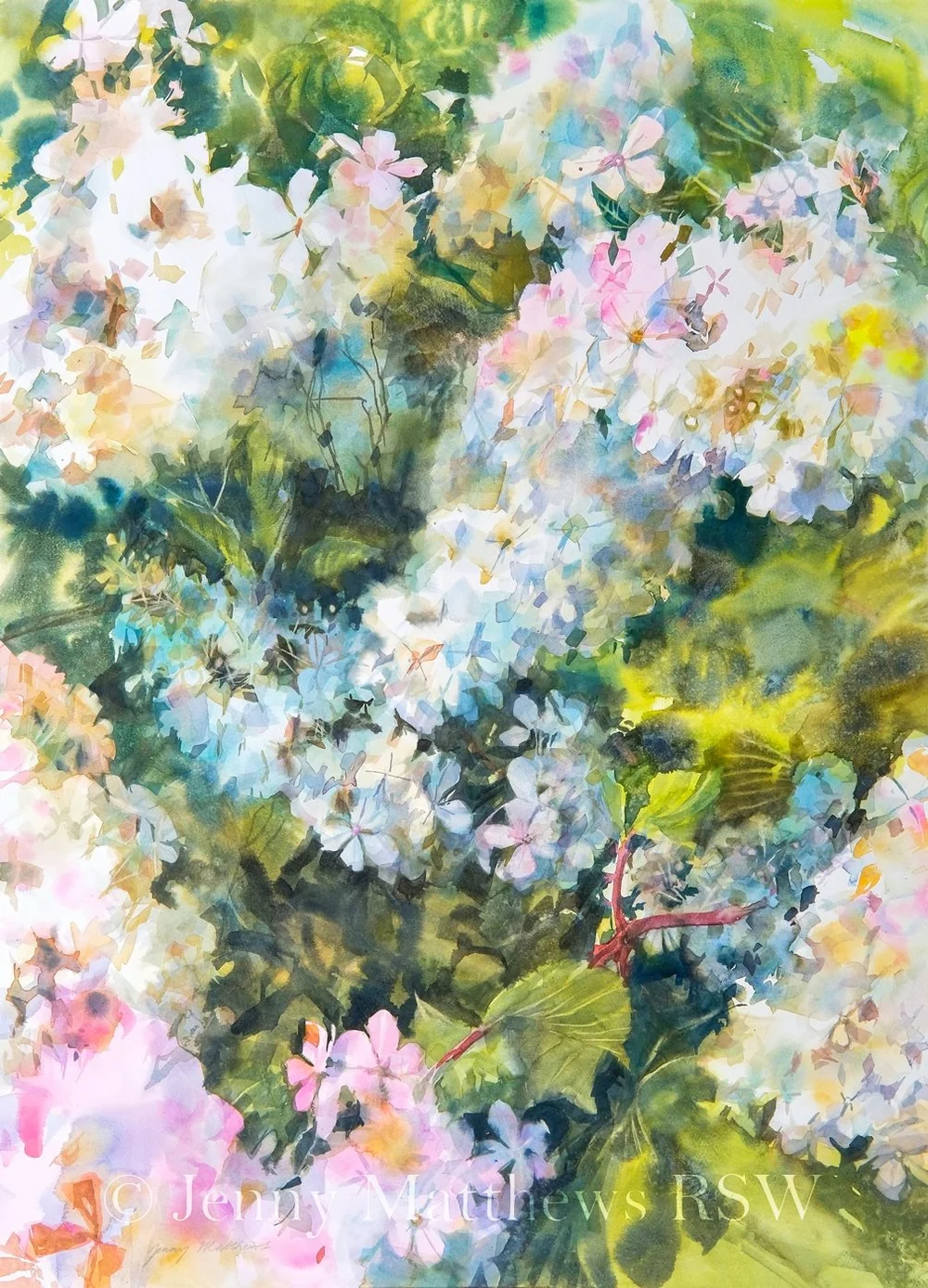 Gallery — Jenny Matthews RSW
