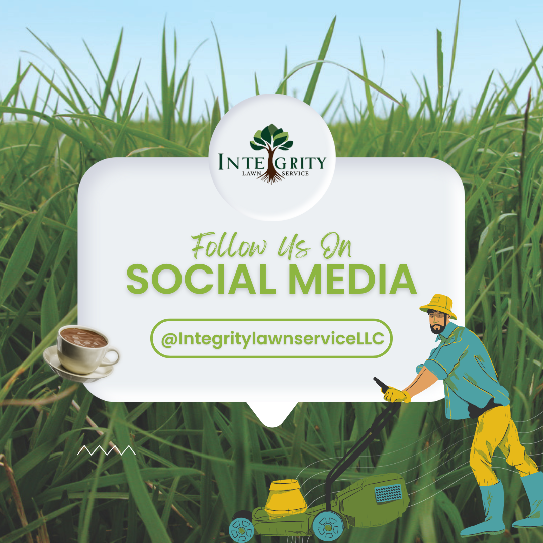 Contact Us — Integrity lawn service LLC