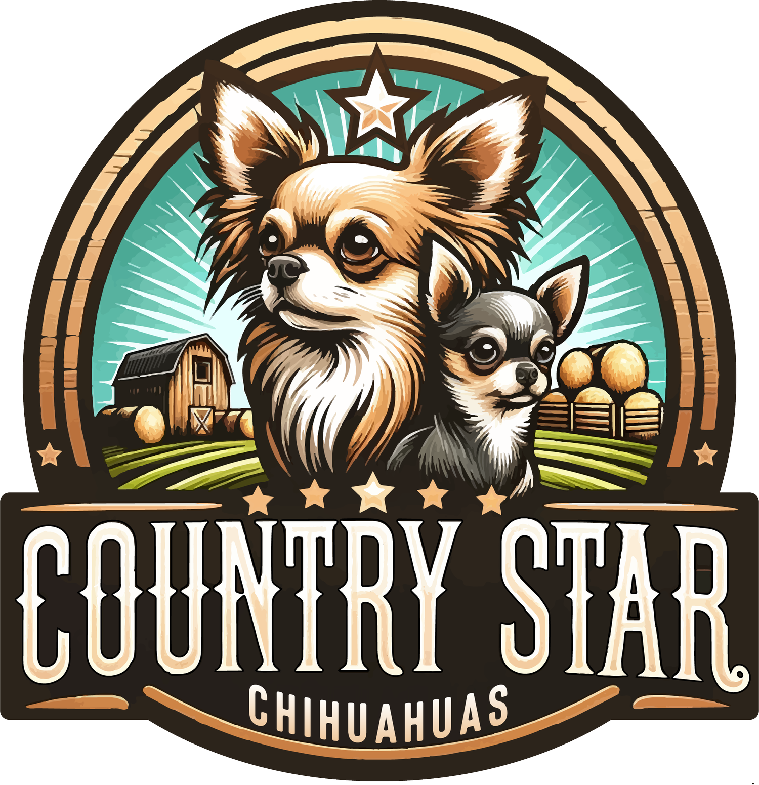 Contact Us — Country Star Chihuahua's