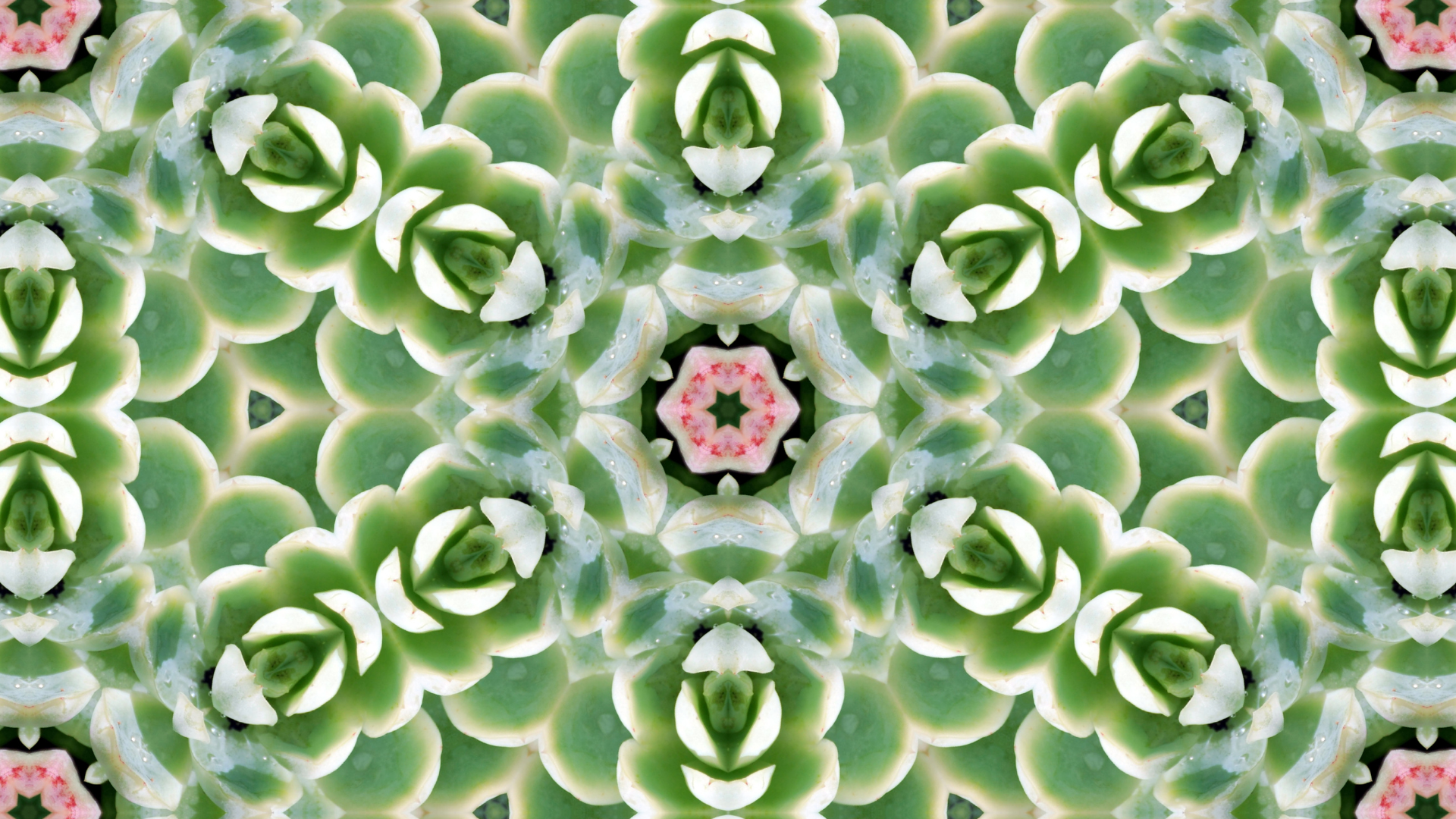 Online Jungian & Depth Psychology Therapy — DR BREN