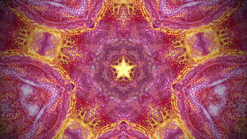 Online Jungian Therapy & Depth Psychology Sessions | Dr. Bren — DR BREN