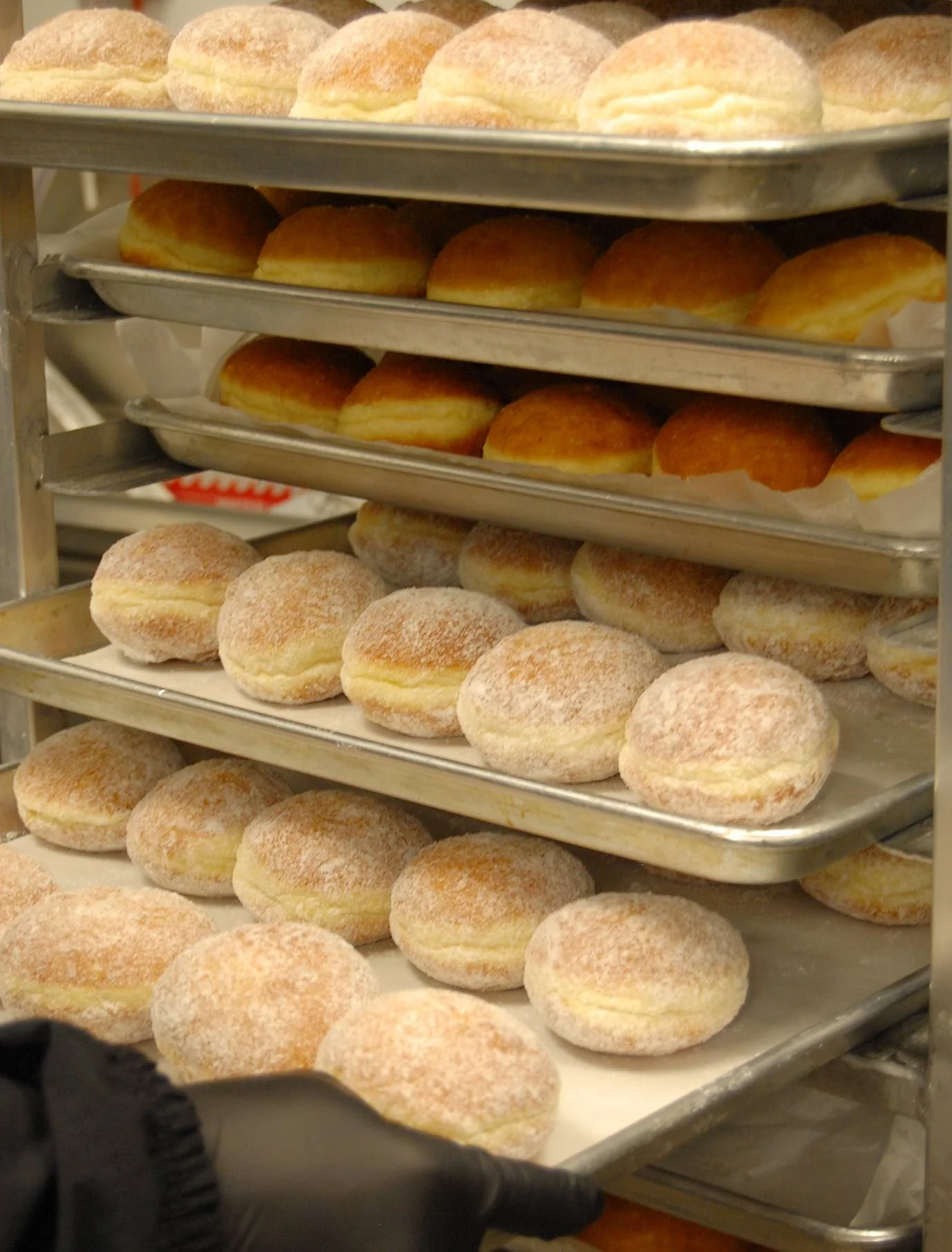 About | Korean Donuts & Specialty Coffee — Cafe Knotted