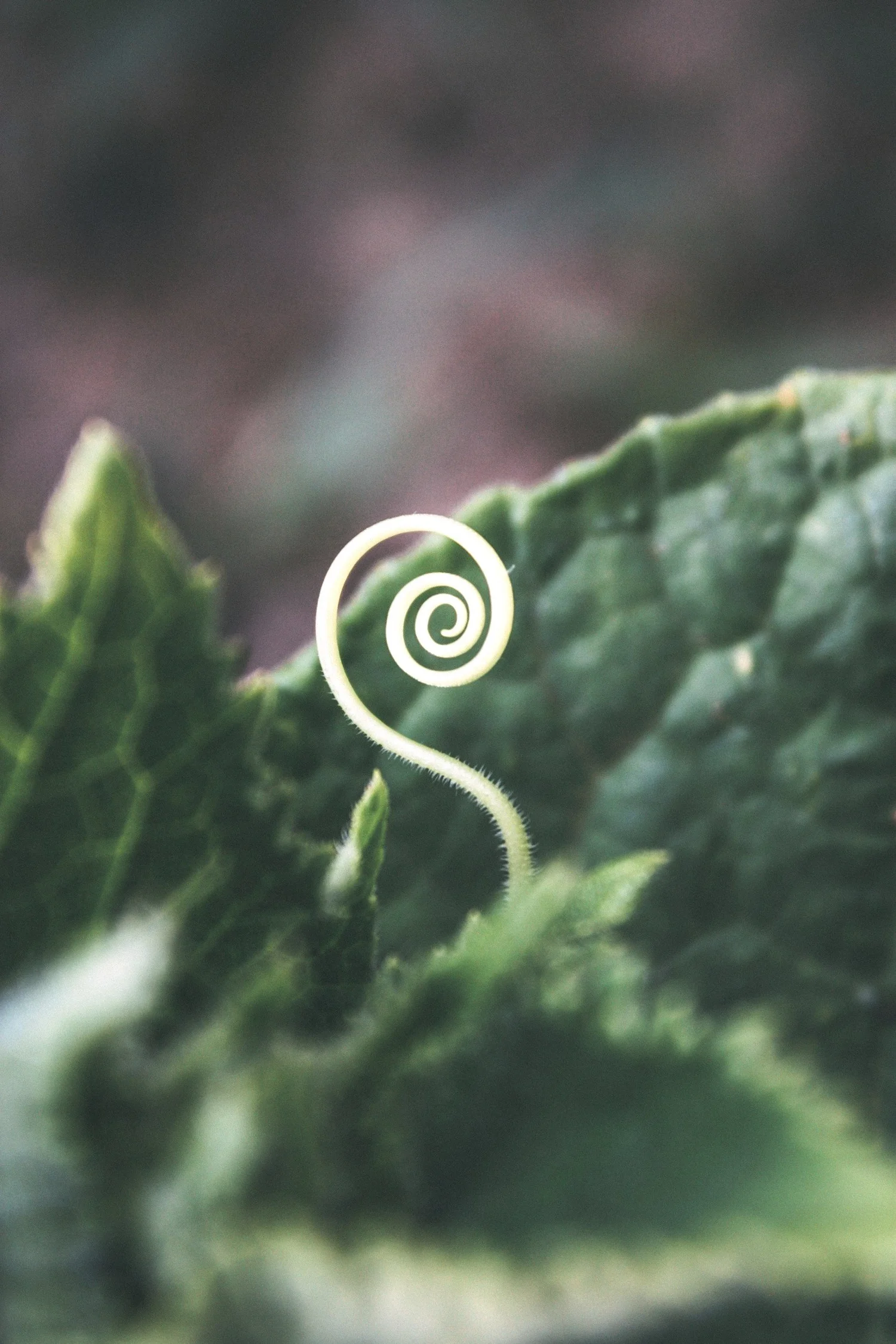 What Is Somatic Therapy? — Jemma Doak - Somatic Psychotherapist ...