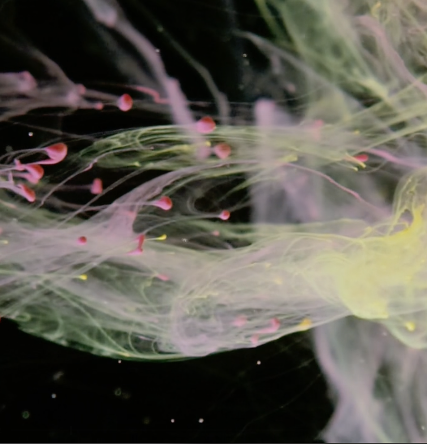 Supersoft Studio | Creative Studio