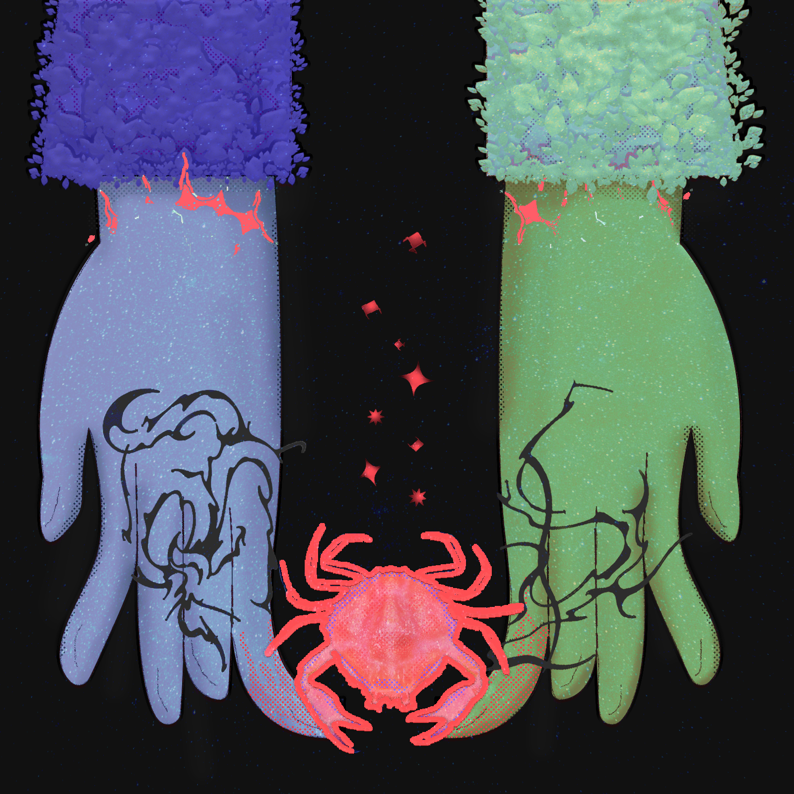 Supersoft Studio | Creative Studio