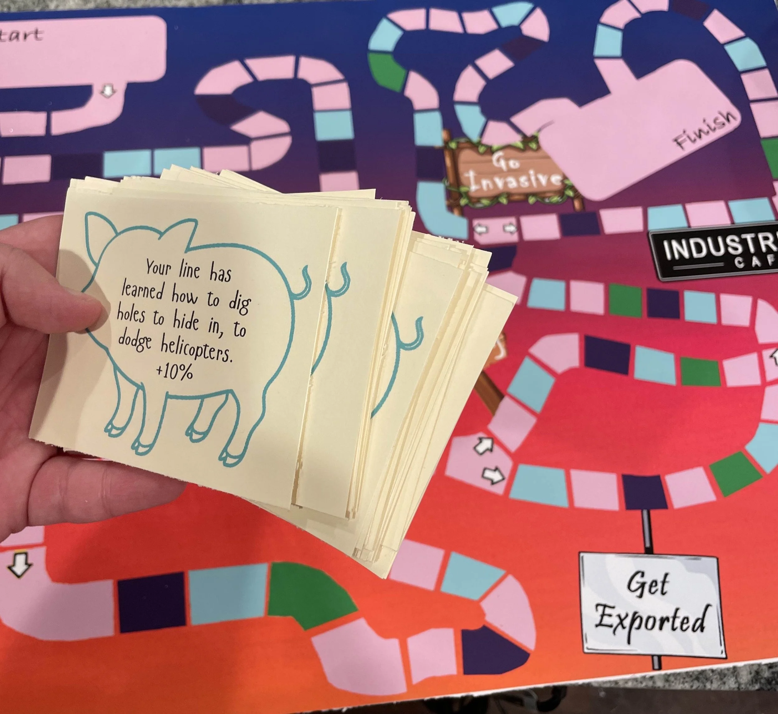The Game of Pig Life — Braden Hajer