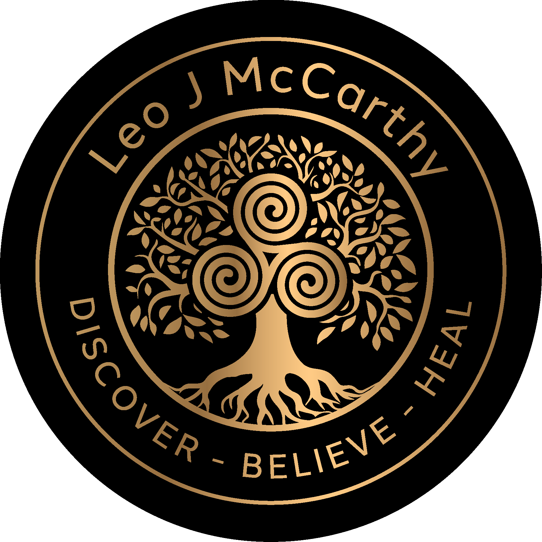 Testimonials | Client Experiences with Leo McCarthy — Leo J McCarthy