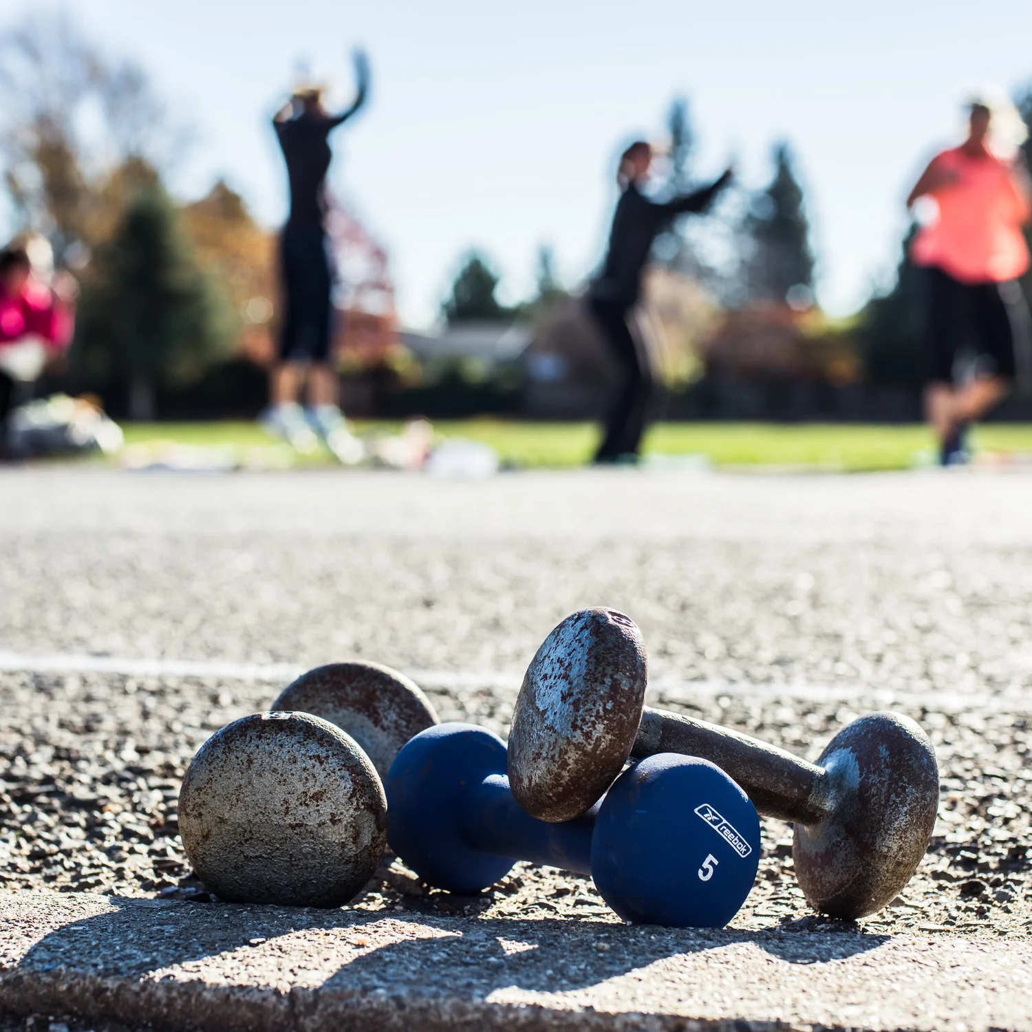 Shift by Jeni | Napa Valley Personal Trainer for Women