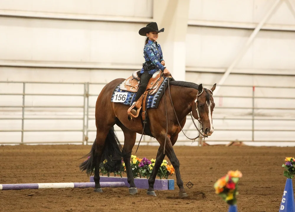 Show Proofs | View Your Photos Today — Elizabeth Knight Photography