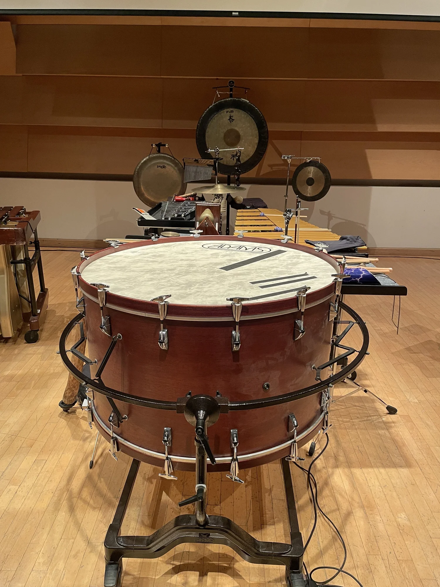 About | Discover Emma's Story — EmmaClarke.com