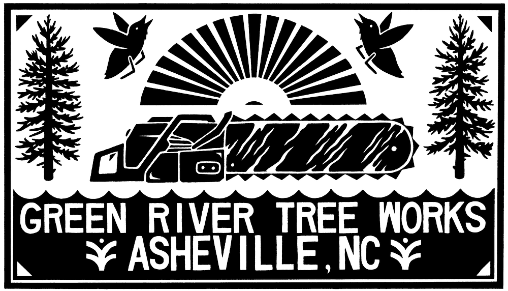 Tree Spiking - Is it Harmful for Live Trees? — Green River Tree Works