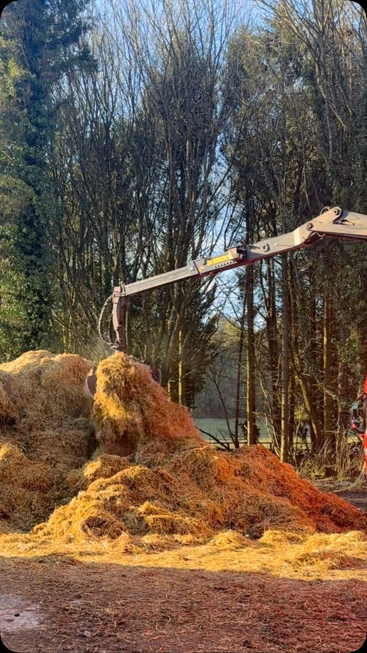 Highclere Valley Stud Farm