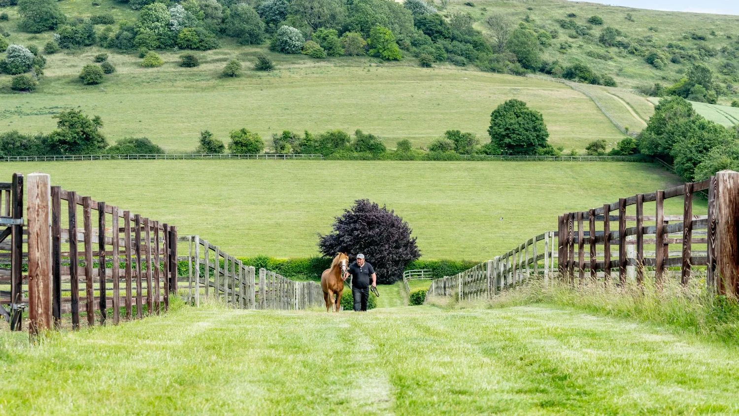 HIGHCLERE STUD — Highclere Valley Stud Farm