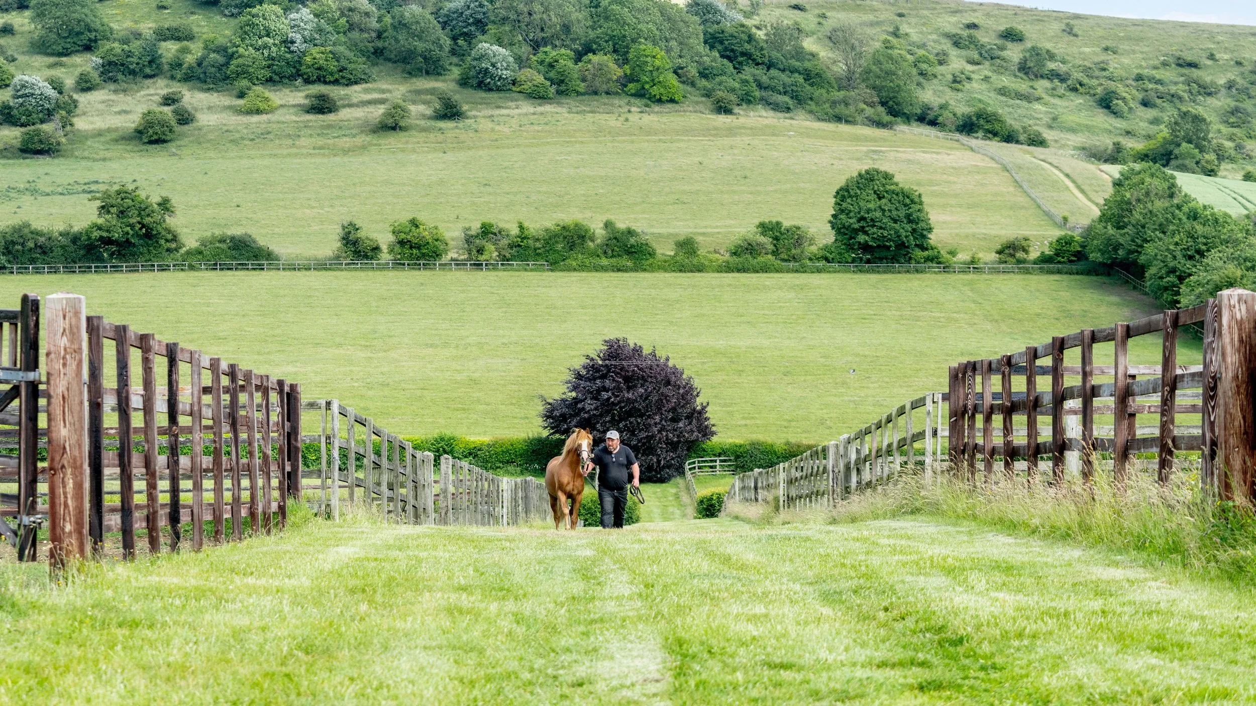 HIGHCLERE STUD — Highclere Valley Stud Farm
