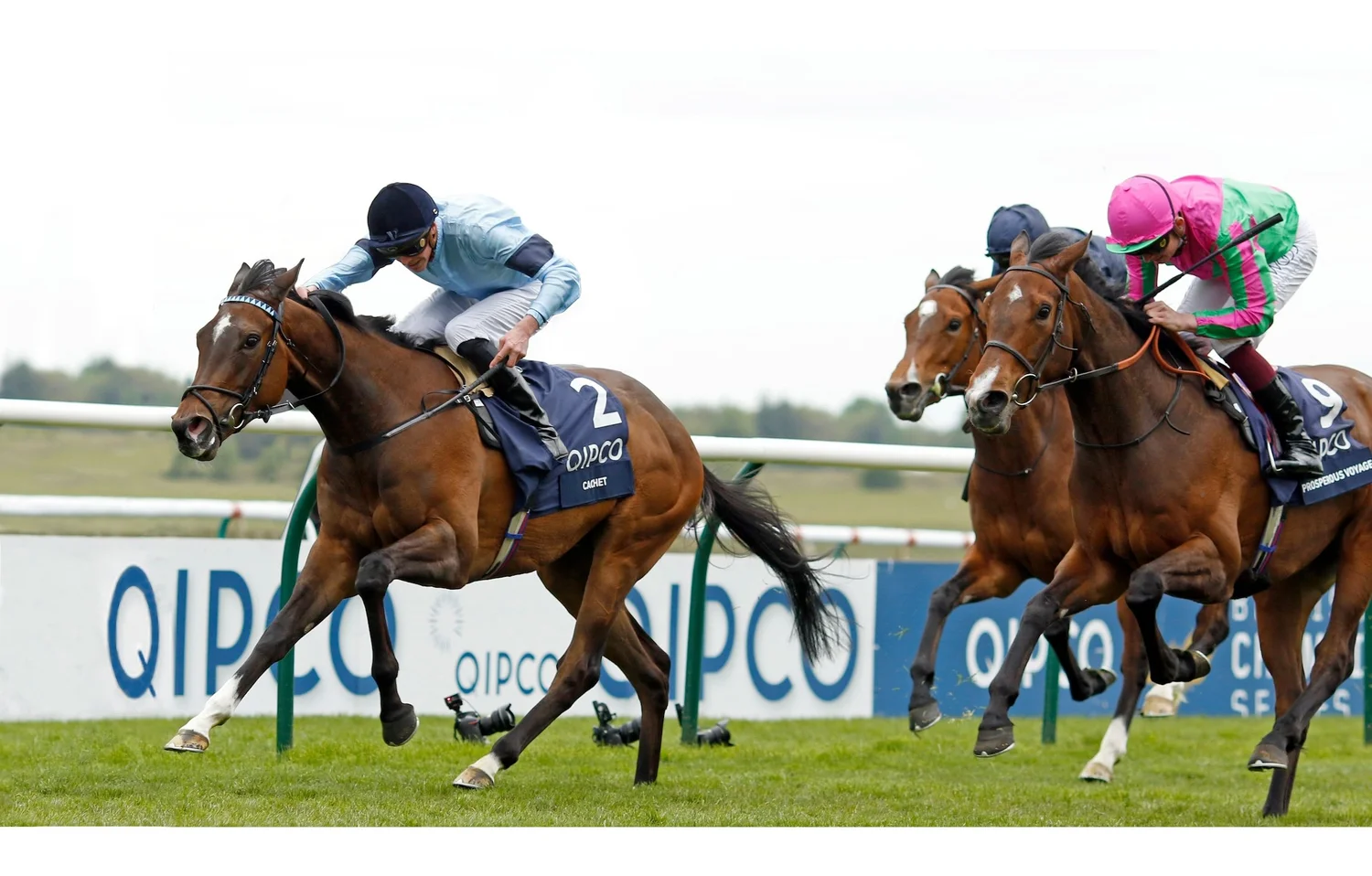 Highclere Agency — Highclere Valley Stud Farm