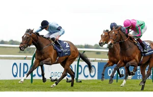 Highclere Agency — Highclere Valley Stud Farm