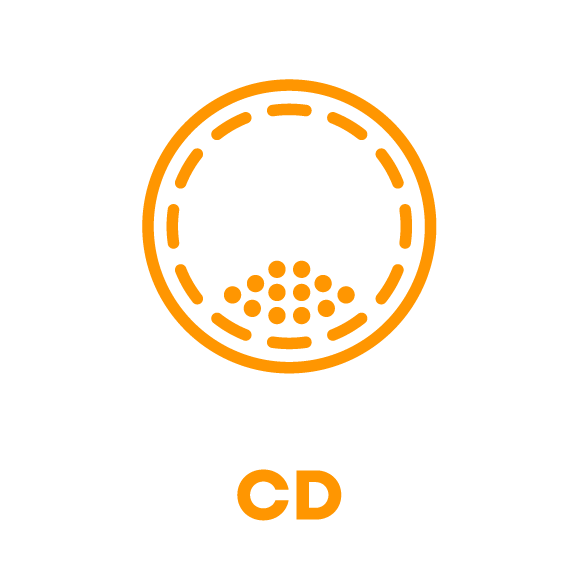 Program Overview — ISSCR 2026