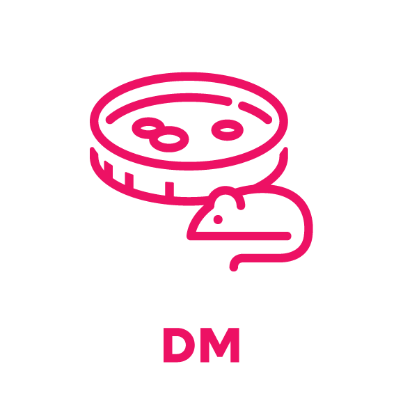 Program Overview — ISSCR 2026