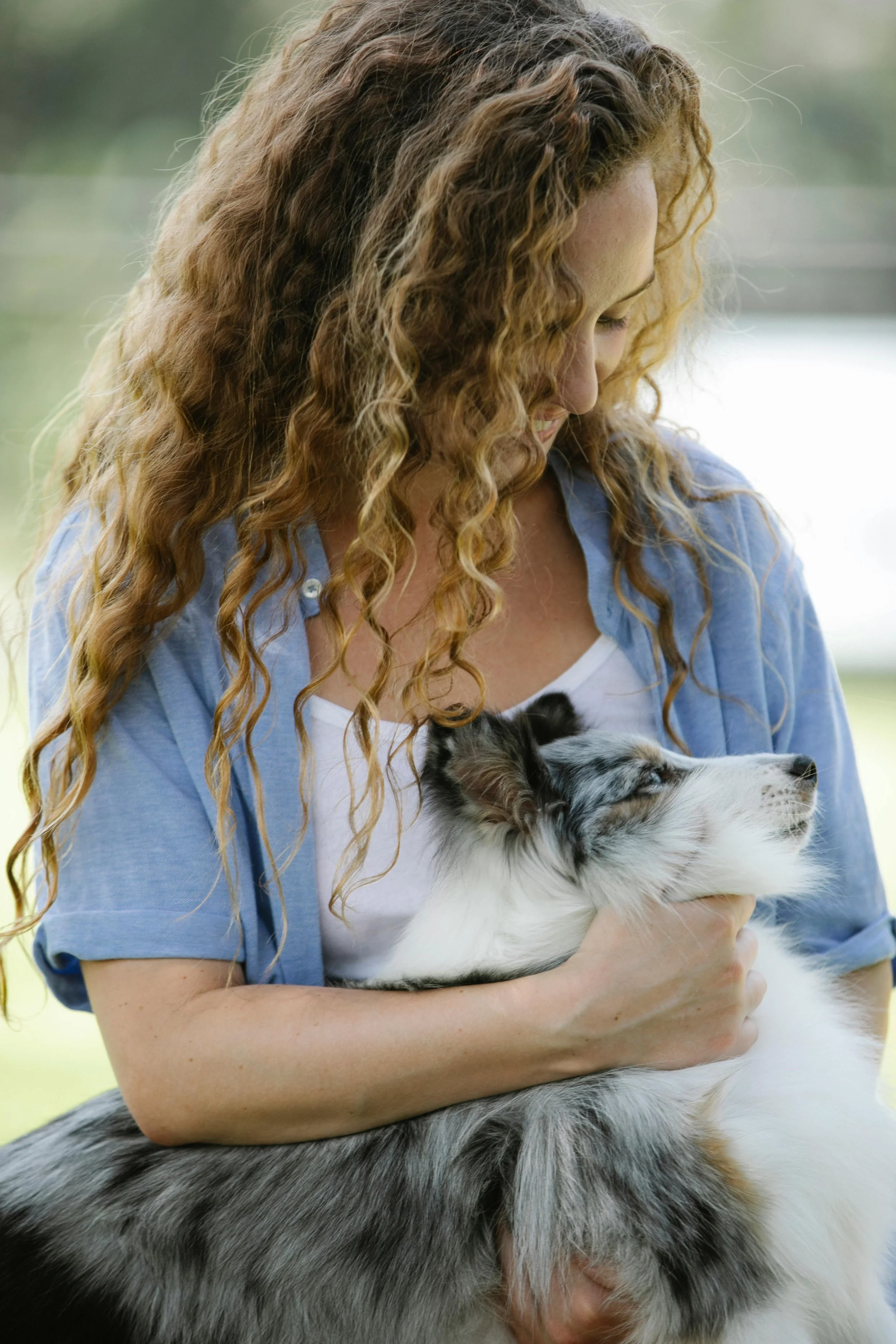 High-Quality Vet Hospital in Greenville, SC | Feeling Pawsitive ...