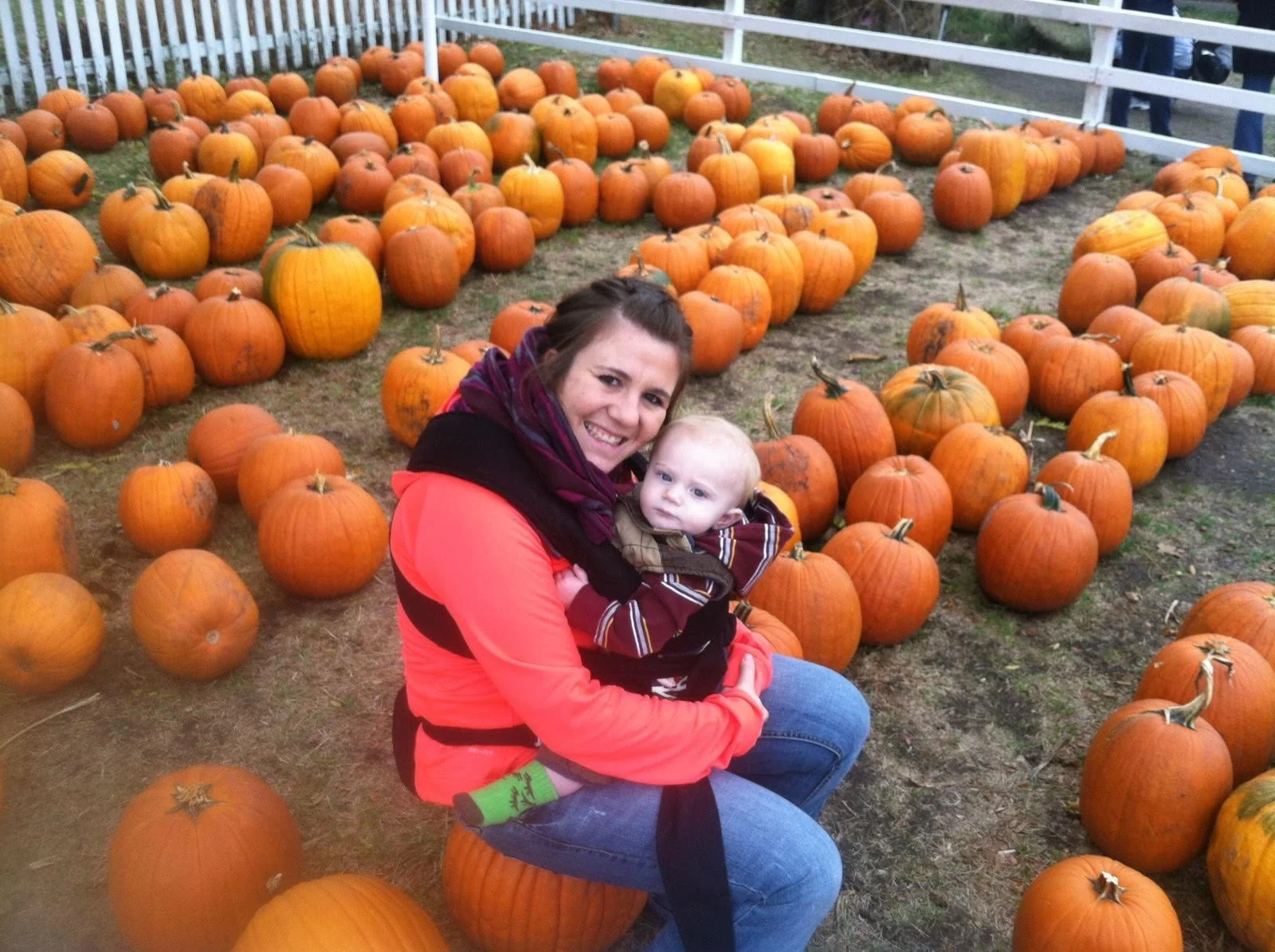 From Blog Posts to a Business: How One Need Led to Des Moines Parent ...