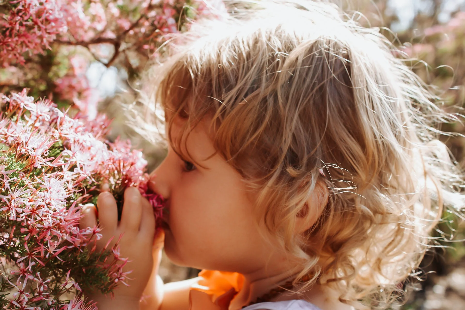 Contact — Echoes of Us Photography