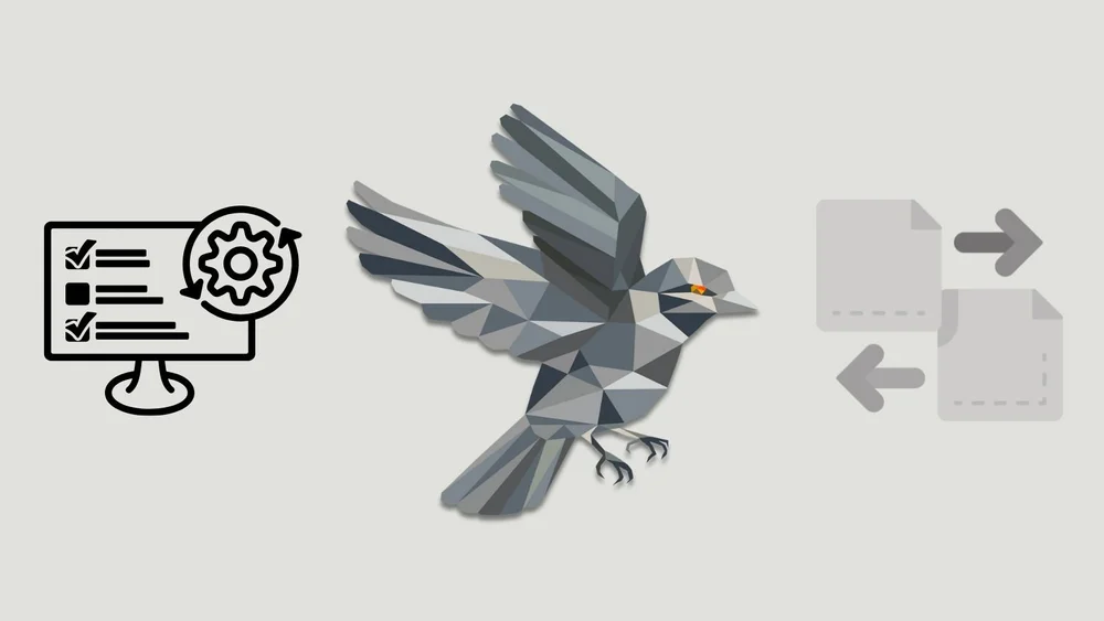 Master Sparrow Bitcoin Wallet — The Bitcoin Course