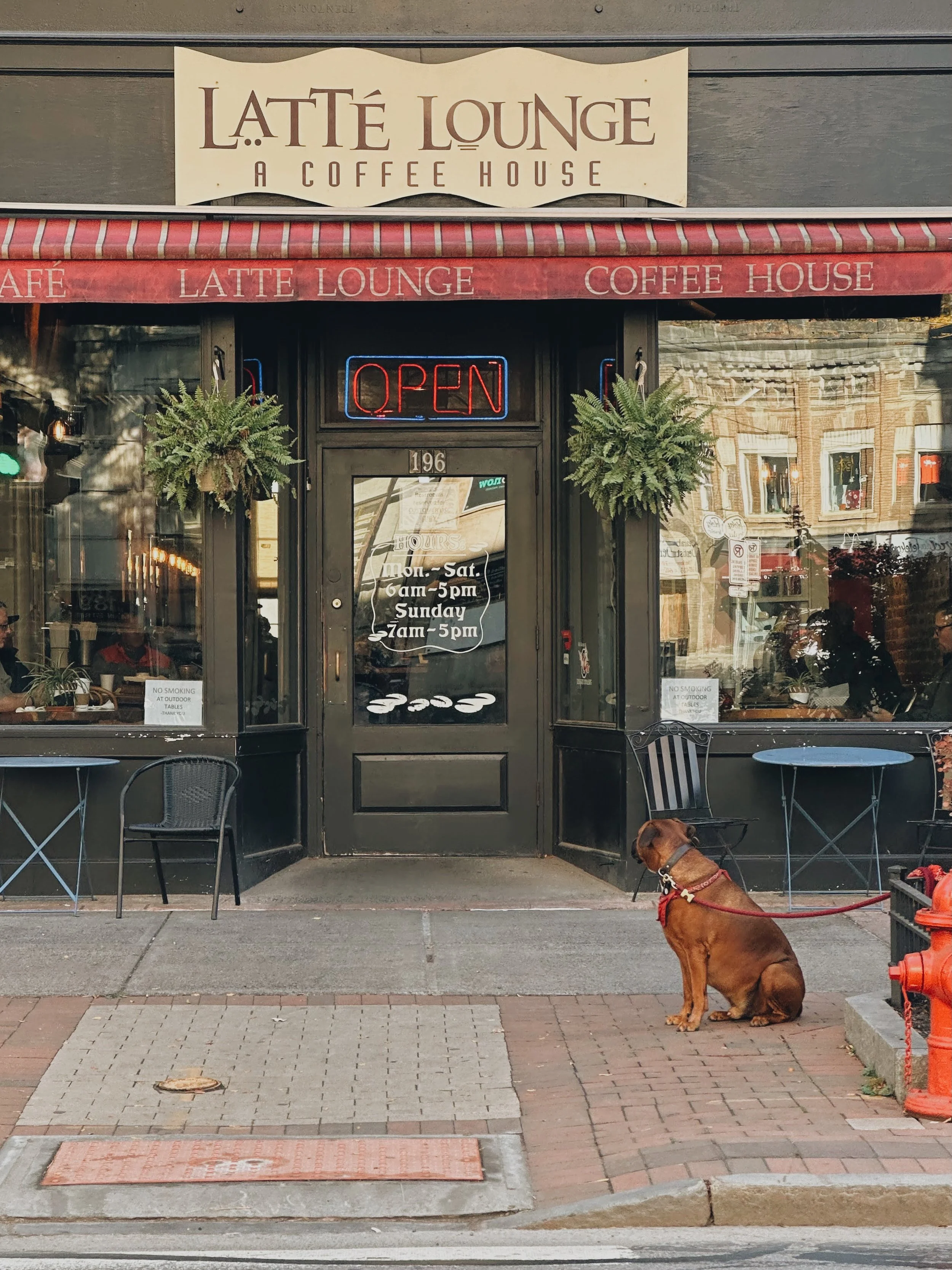 Latté Lounge