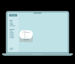 IIG - International Integrations Group