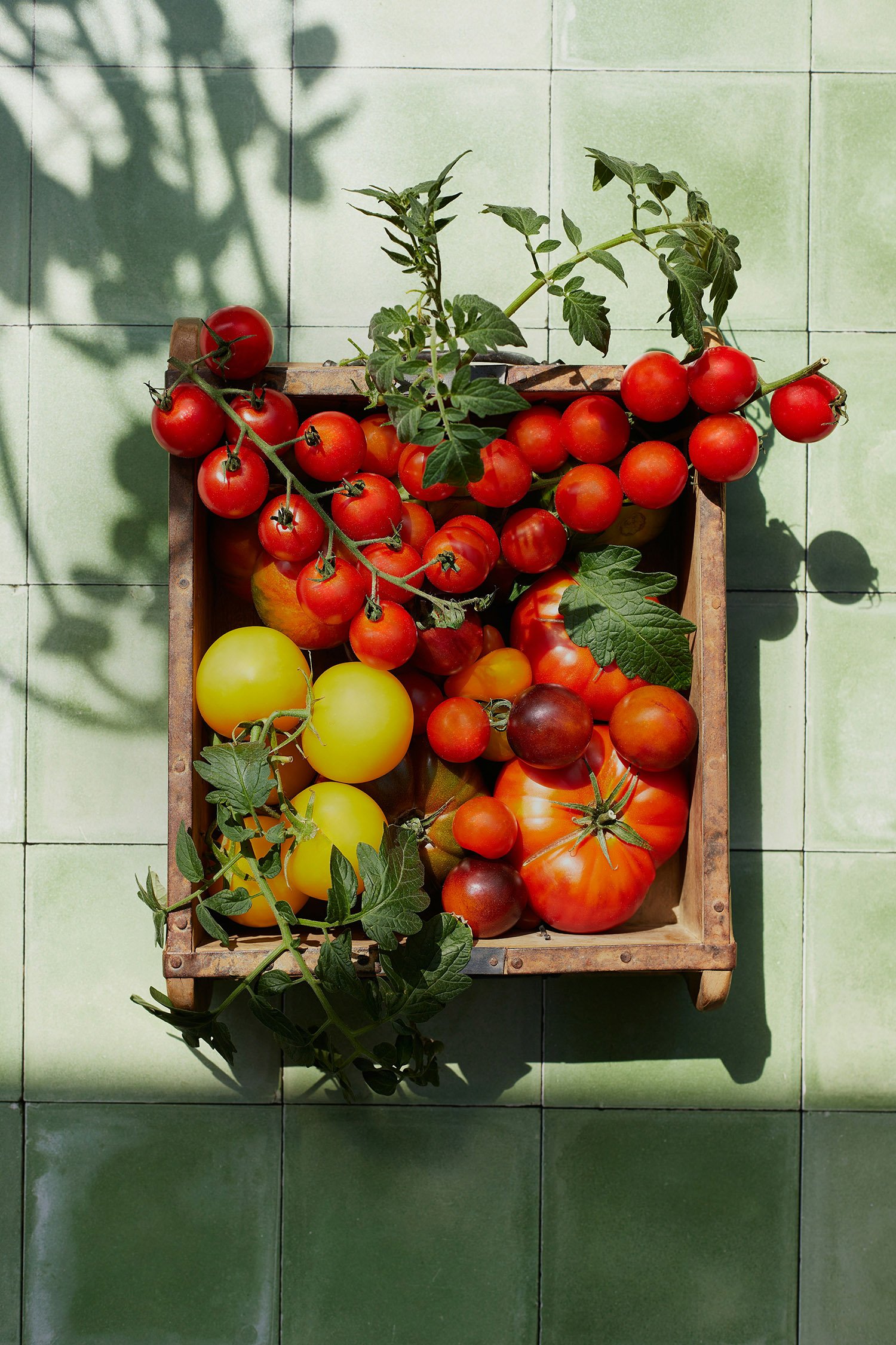 ANDERSON MARKET | Discover & Connect Today