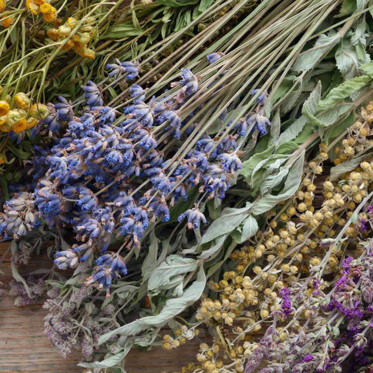 Calm Roots Head Spa & Scalp Clinic