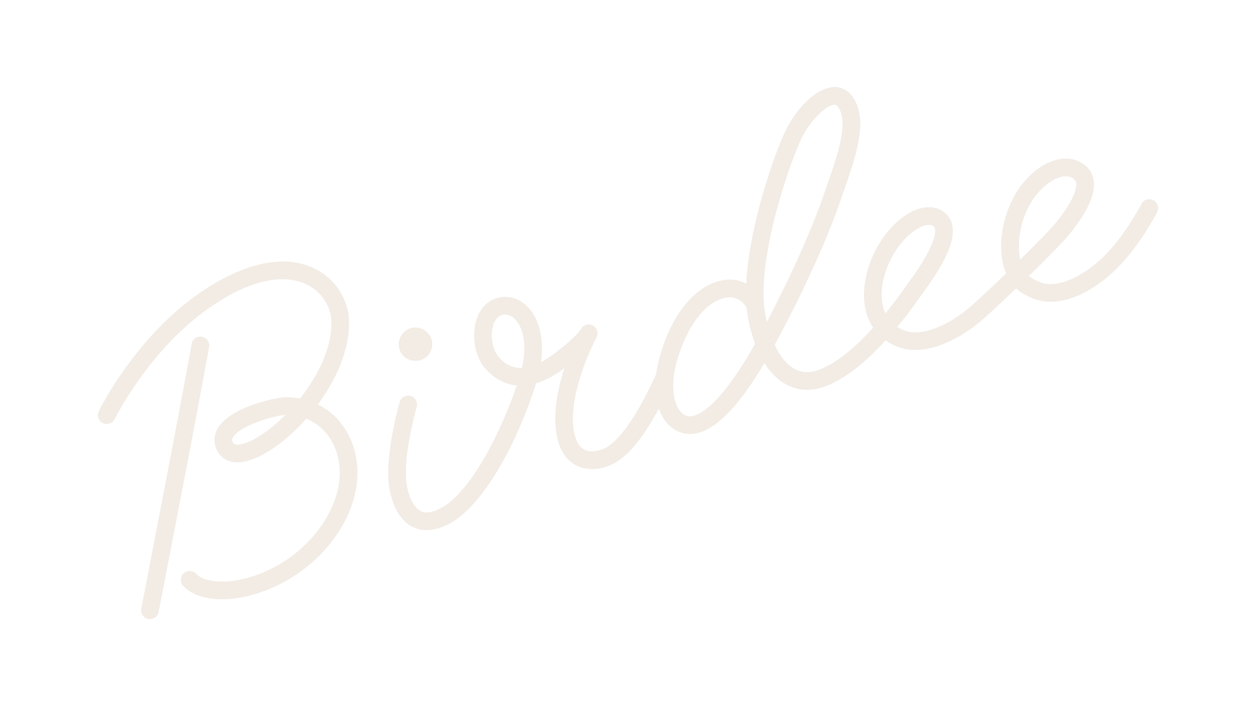Birdee | Visit for Fresh Pastries & Coffee
