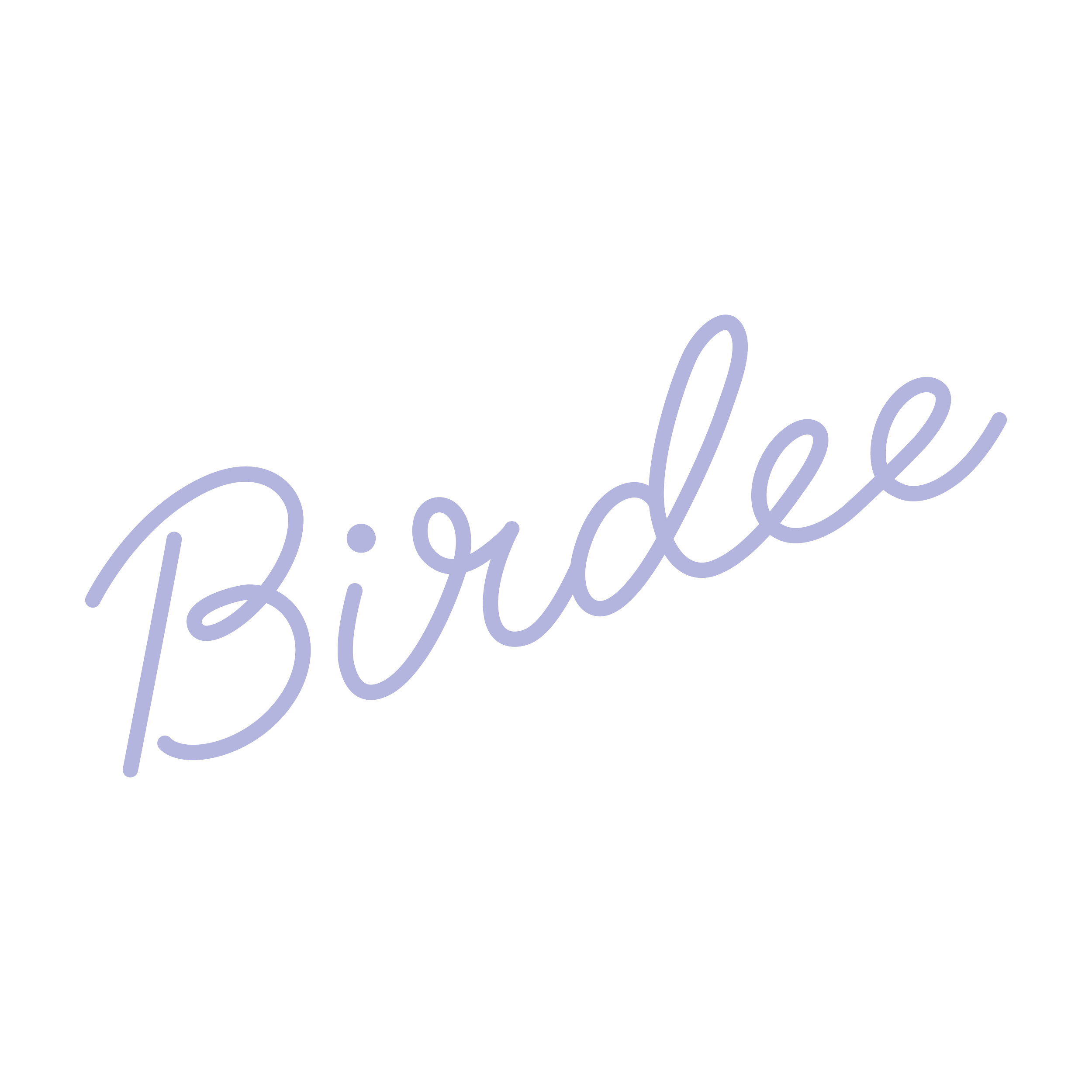 Birdee