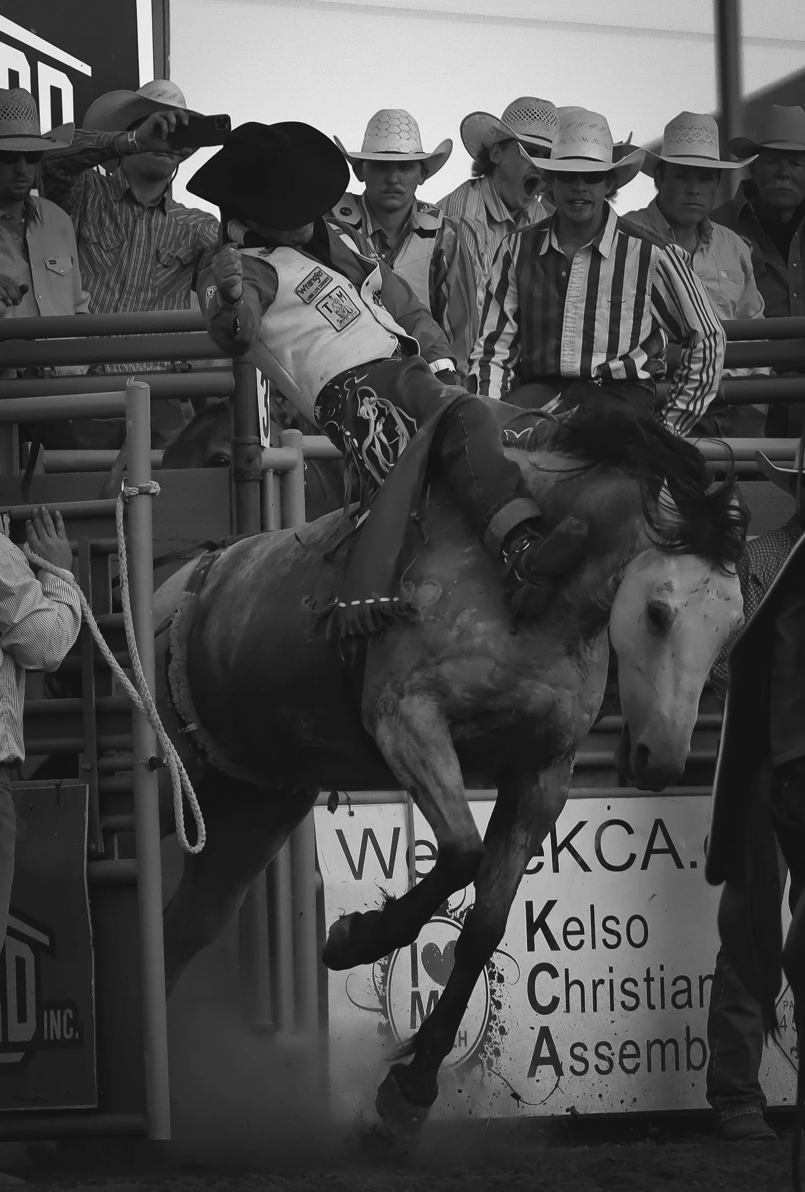 Entertainment at Cowlitz County Fair — COWLITZ COUNTY FAIR