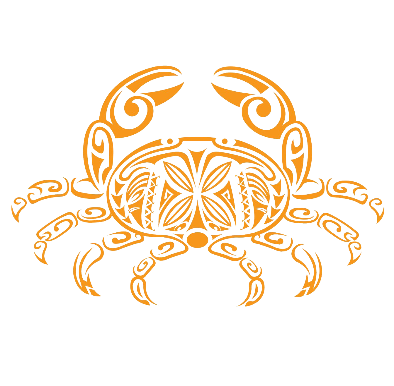 #1 Car Rental Aitutaki | Van & Car Hire Services | Tupa Transport