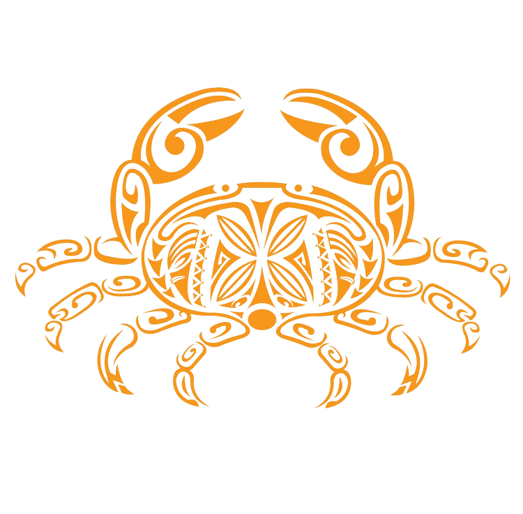 #1 Car Rental Aitutaki | Van & Car Hire Services | Tupa Transport