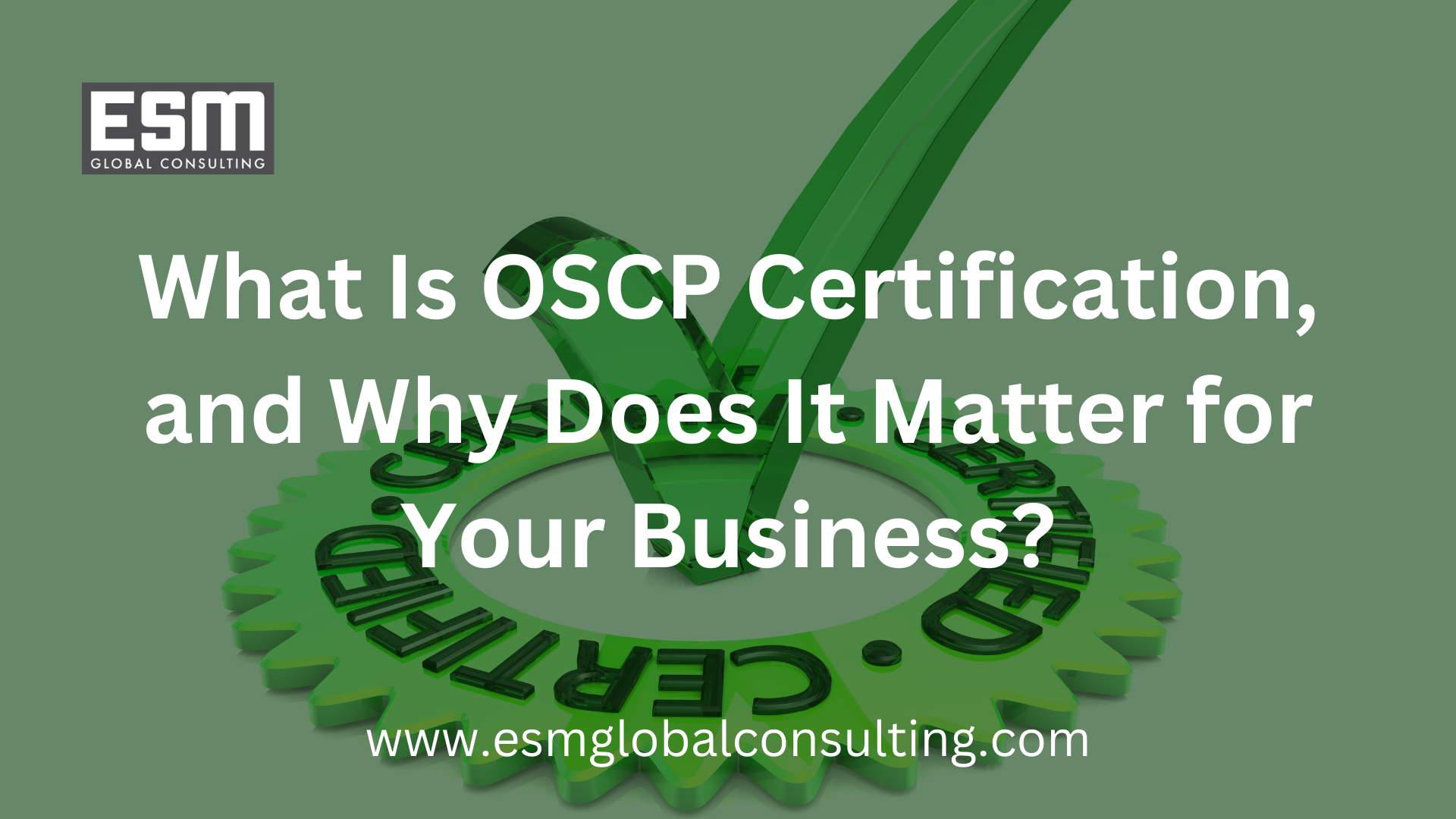 What Is OSCP Certification, and Why Does It Matter for Your Business ...