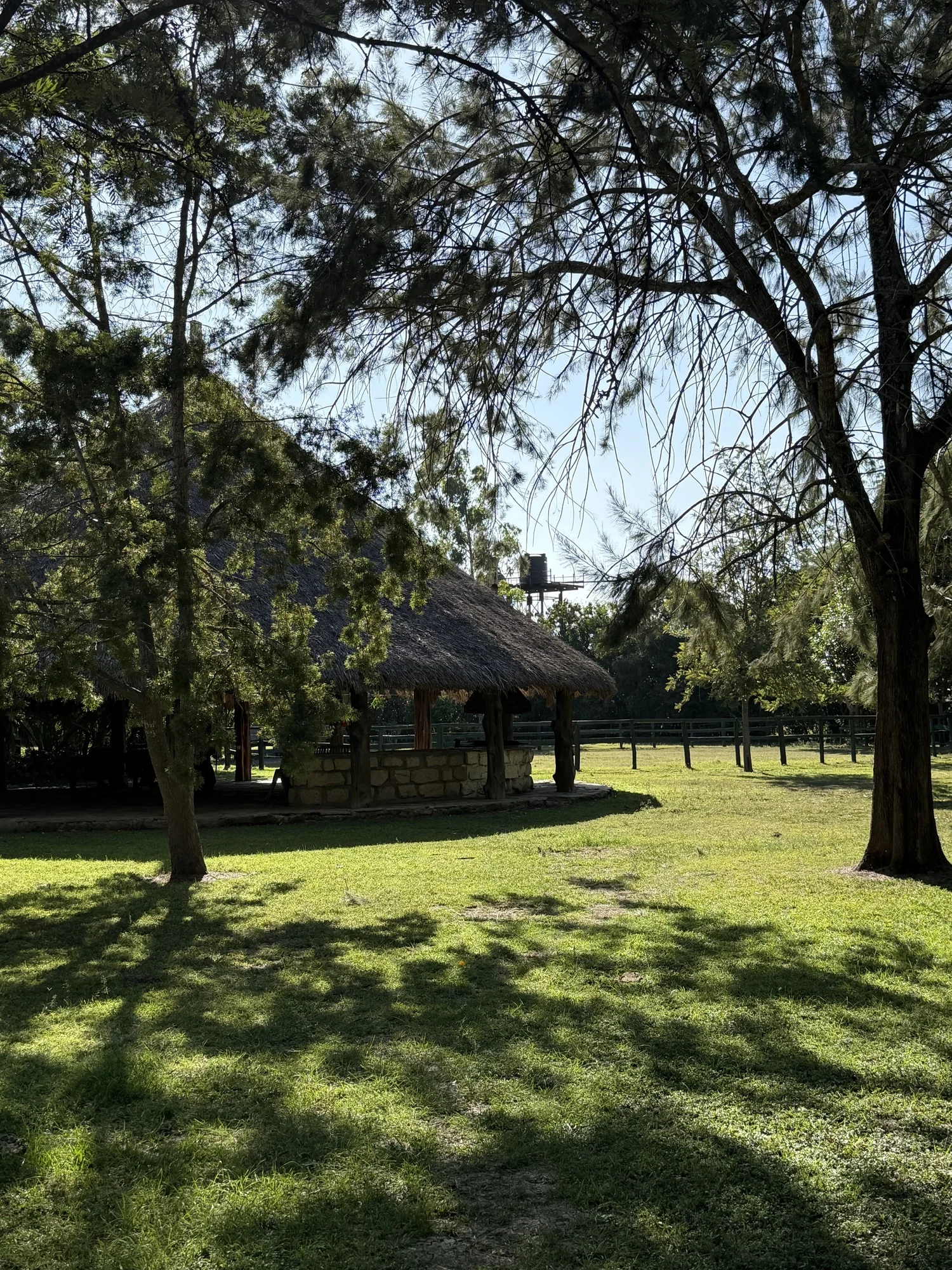 Maasai Ostrich Farm