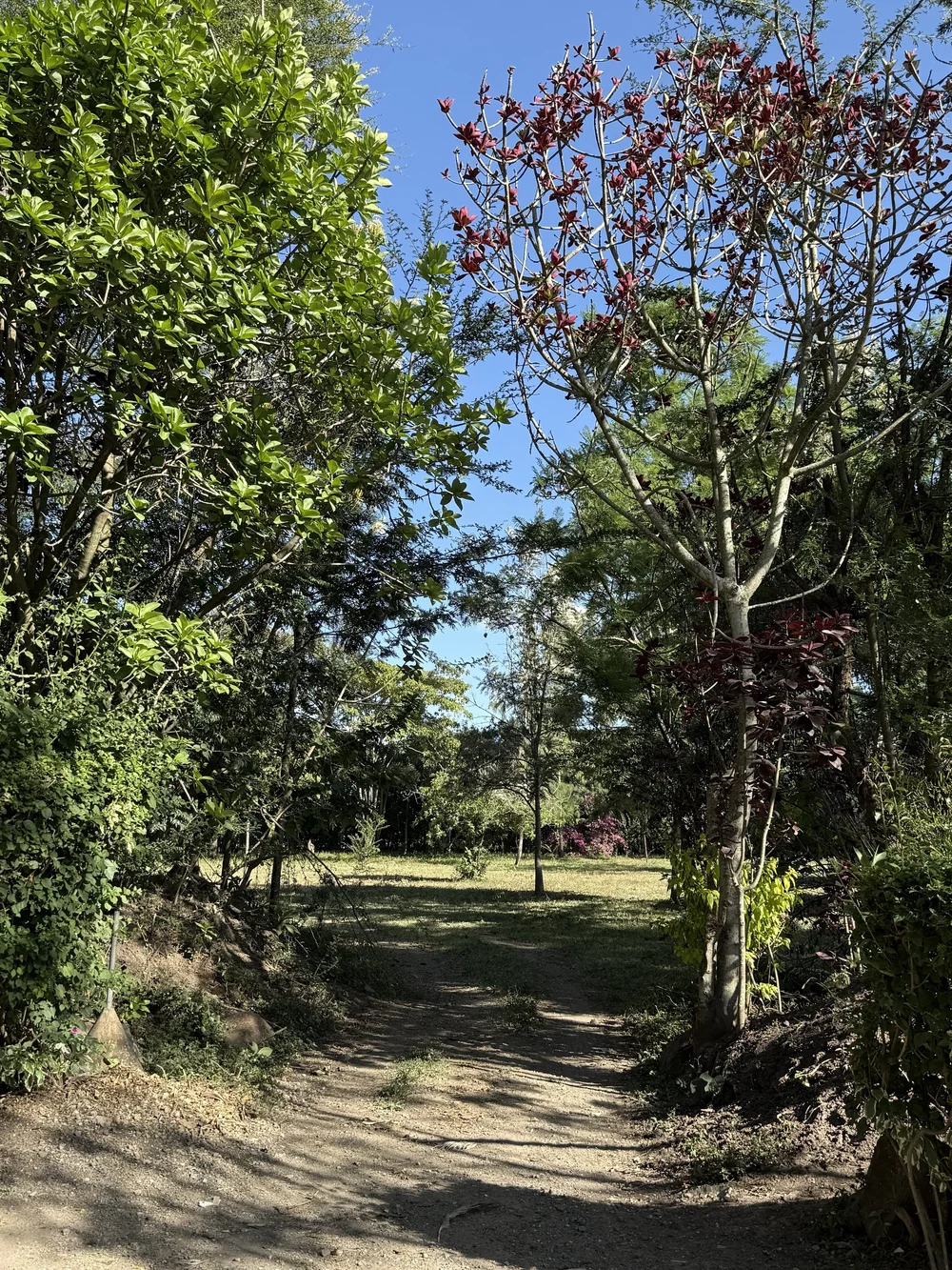 Benefits & Uses — Maasai Ostrich Farm