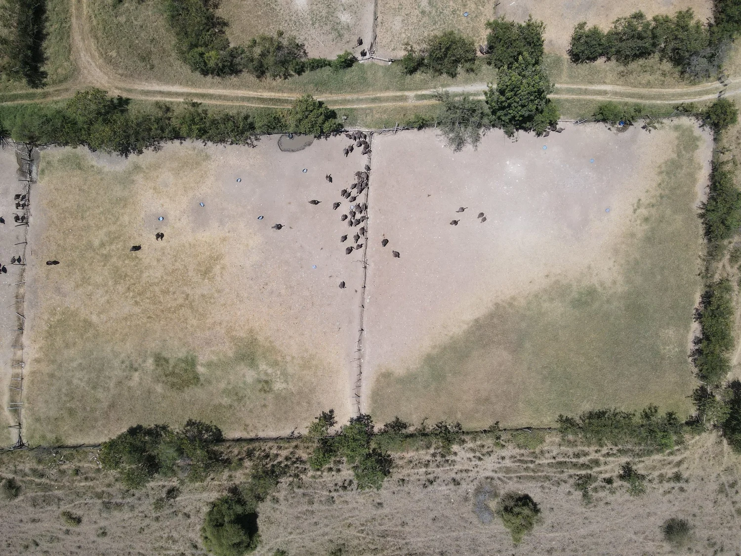 Maasai Ostrich Farm