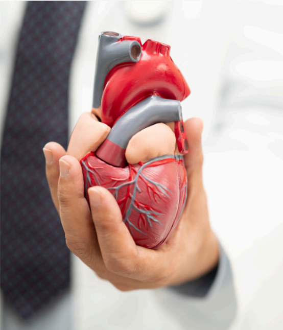 Cardiovascular Tech Program — Educational Programs in Collaboration